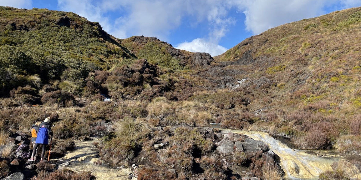 The importance of sharing GeoNet data - Earth Sciences New Zealand ...