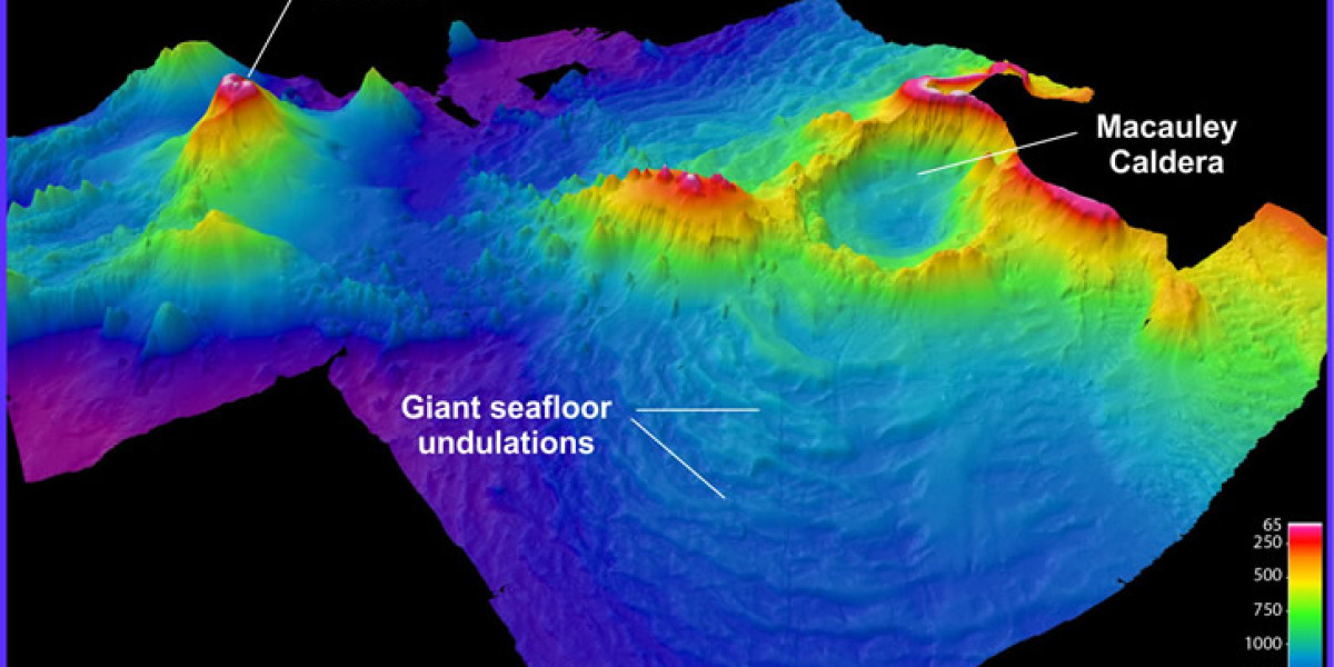 Scientists zero in on submarine volcanoes - Earth Sciences New Zealand ...