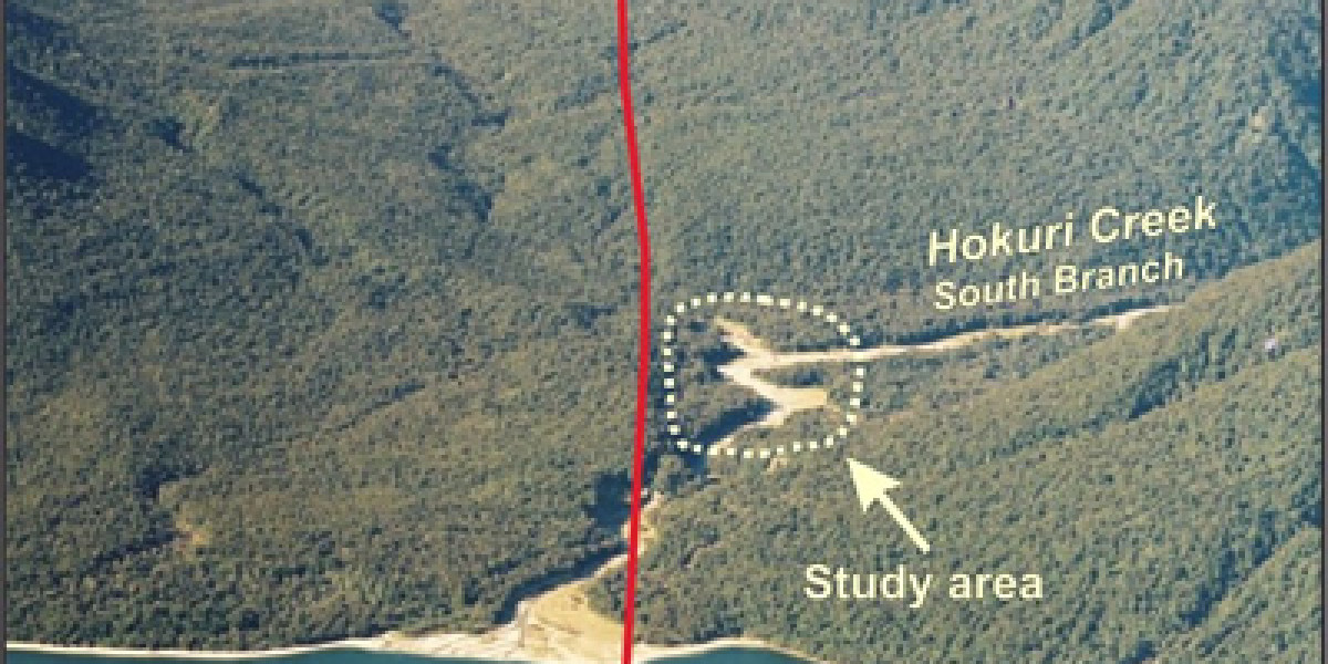 8000-year quake record improves understanding of Alpine Fault - GNS ...