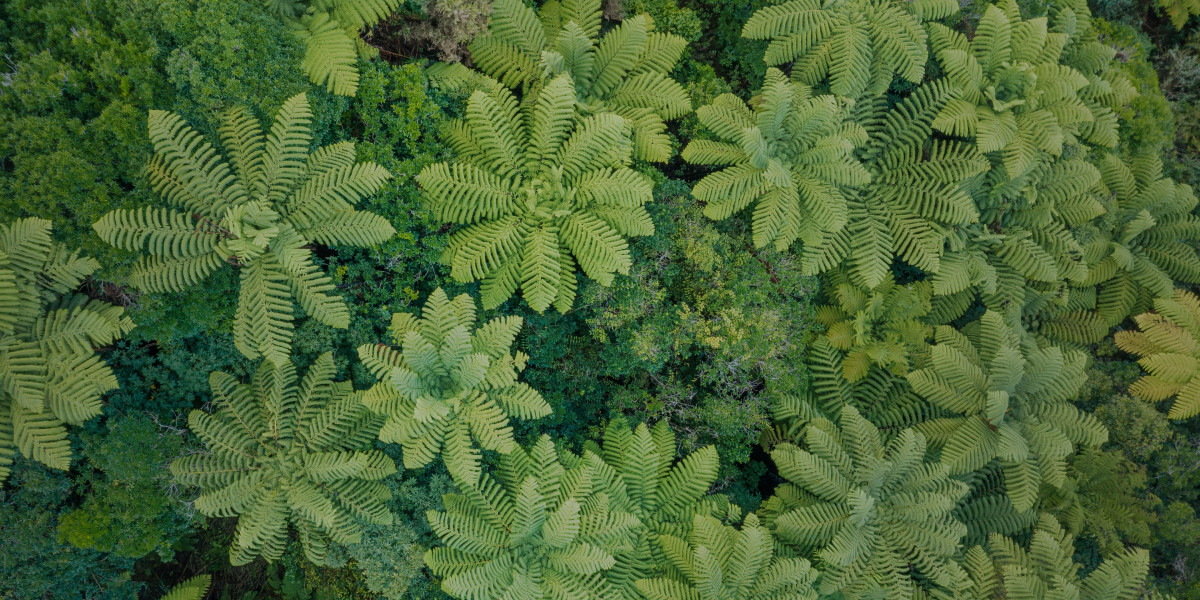 CarbonWatchNZ - Earth Sciences New Zealand | GNS Science | Te Pῡ Ao