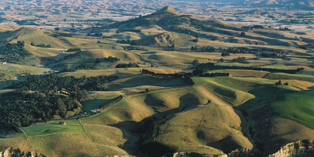 New geological map reveals details of New Zealand’s largest gold ...