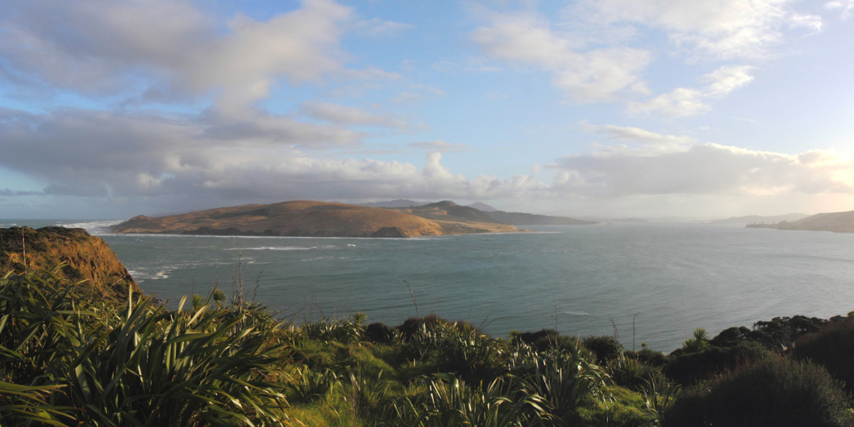 Restoring the balance in Hokianga Harbour - Earth Sciences New Zealand ...