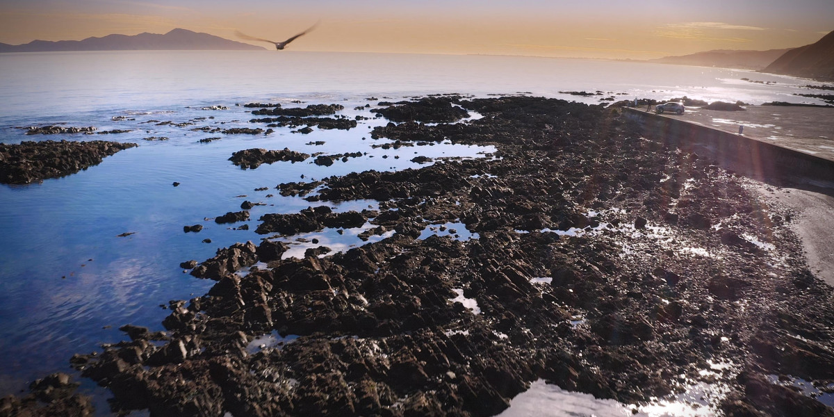 Land and Marine Geoscience - Earth Sciences New Zealand | GNS Science ...