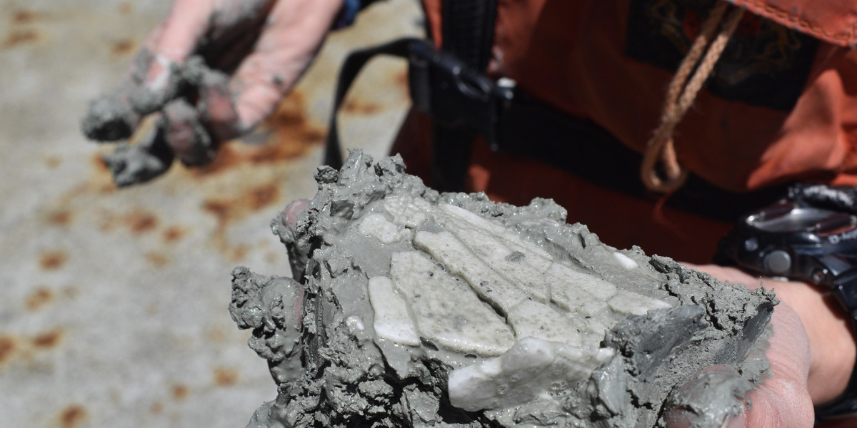 Gas hydrates - Earth Sciences New Zealand | GNS Science | Te Pῡ Ao