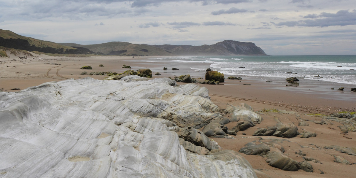 New Zealand’s offshore sedimentary basins hold the ‘missing pages’ of ...