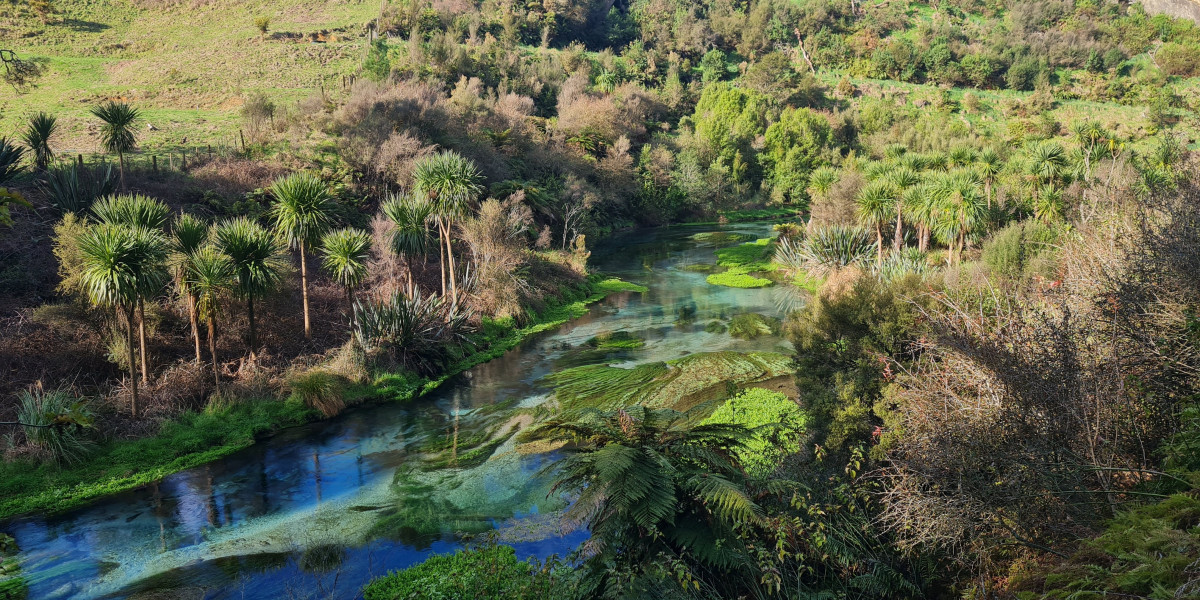 Study takes national overview of nitrates in freshwater - Earth ...