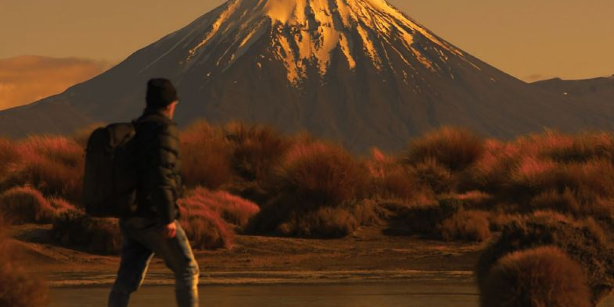 2022 Annual Report – reflecting on the year that was - Earth Sciences ...